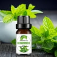 10ml Aromatic Essence Oil Dropper Design Long Lasting Water Soluble