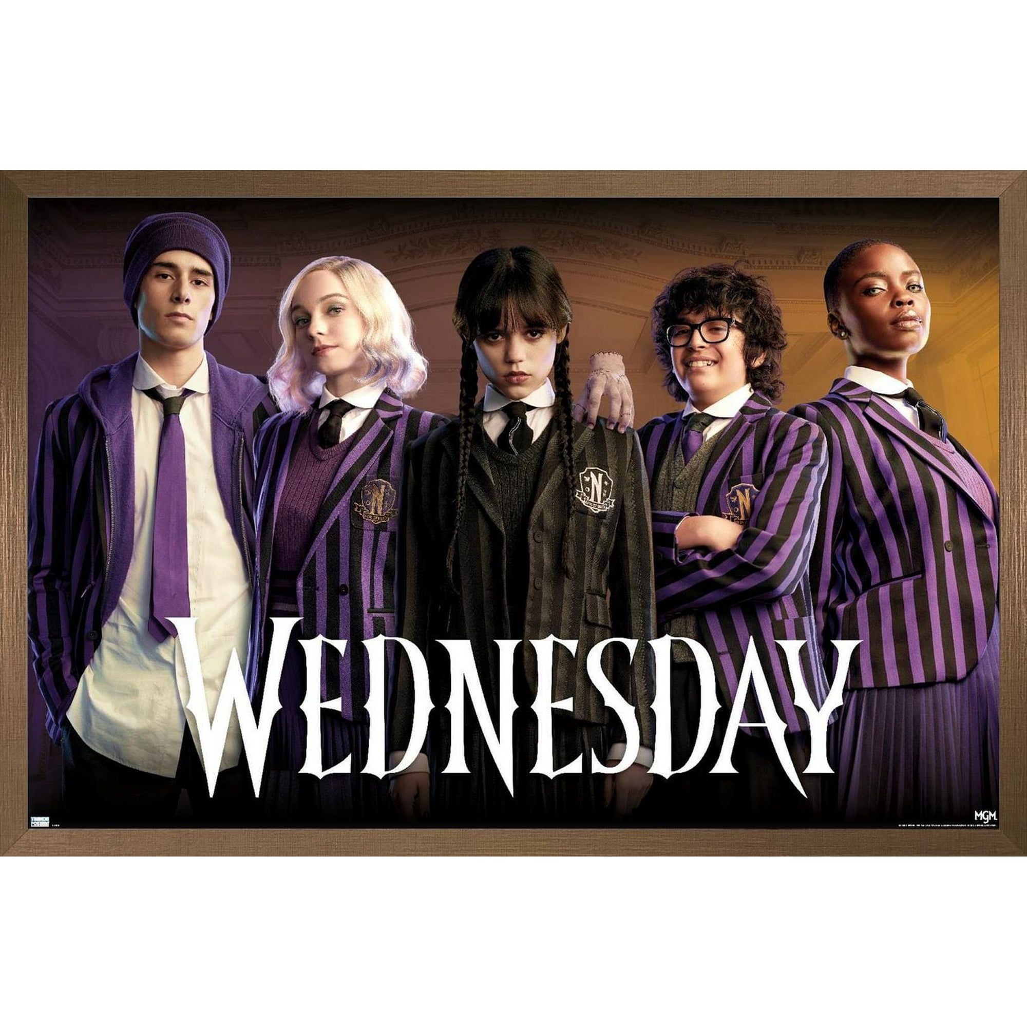 Click here for Trends International Wednesday - Group Wall Poster... prices