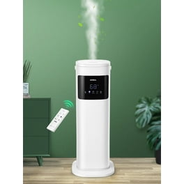 Air purifier and humidifier walmart store