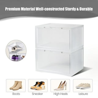 Clear Plastic Box Rectangular Insect Specimen Display Desktop Storage ...