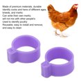 Chicken Foot Ring, Writing Marker Poultry Legs Rings Clip Wear For Farm ...