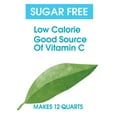 Great Value Sugar-Free Lemonade Drink Mix Powder, 0.53 oz, 6 Count ...