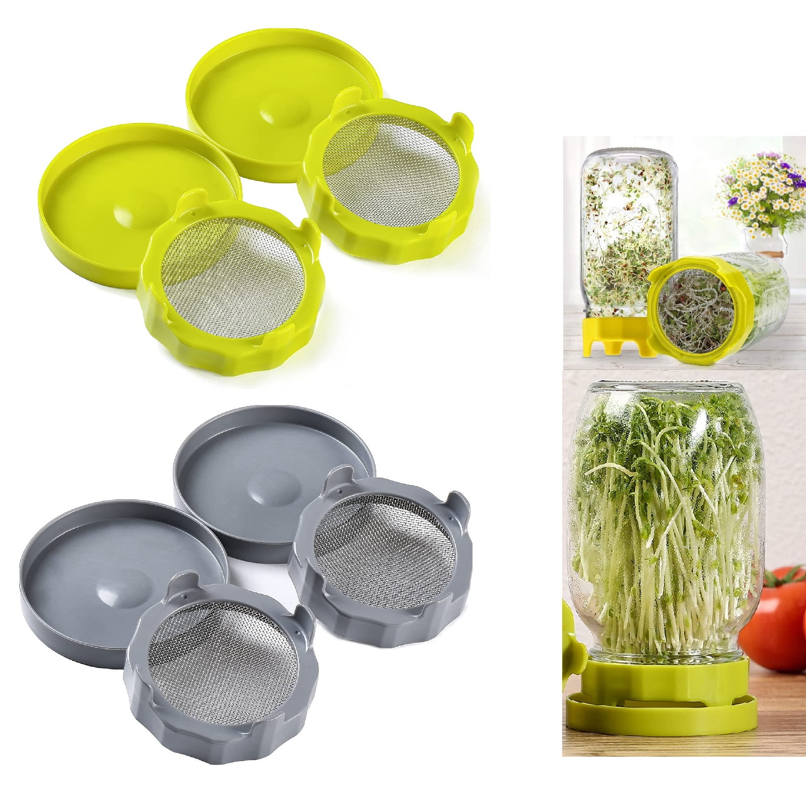 Daupanzees 4 Set Sprouting Lids with Stainless Steel Screen, Plastic ...