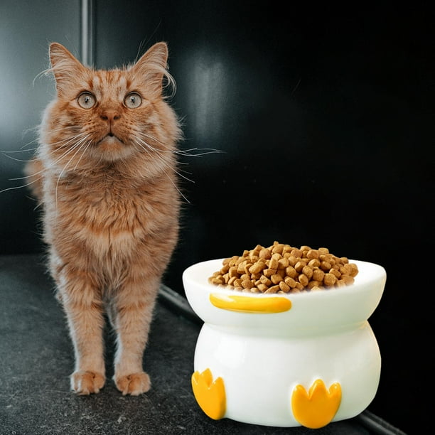 Ceramic Anti Vomiting Raised Cute Water Spine Protection Container for ...