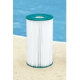 Mainstays Pool Filter Cartridge Type IV B for Above-Ground Pools 5.6x10 ...