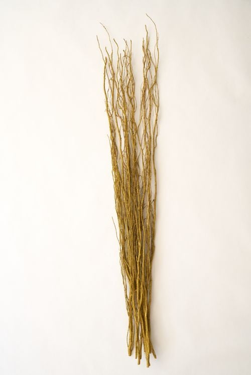 Gold Glitter | 4-5 Ft Tall Curly Willow | Pack of 10 Stems - Walmart.com