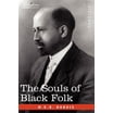 African American Heritage Book: The Souls of Black Folk (An African ...