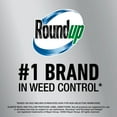 Free Shipping! Roundup Weed & Grass Killer Plus 1 gal with Comfort Wand ...