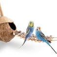 Coconut Bird Nest Hut with Ladder for Parrots Parakeet Conures ...