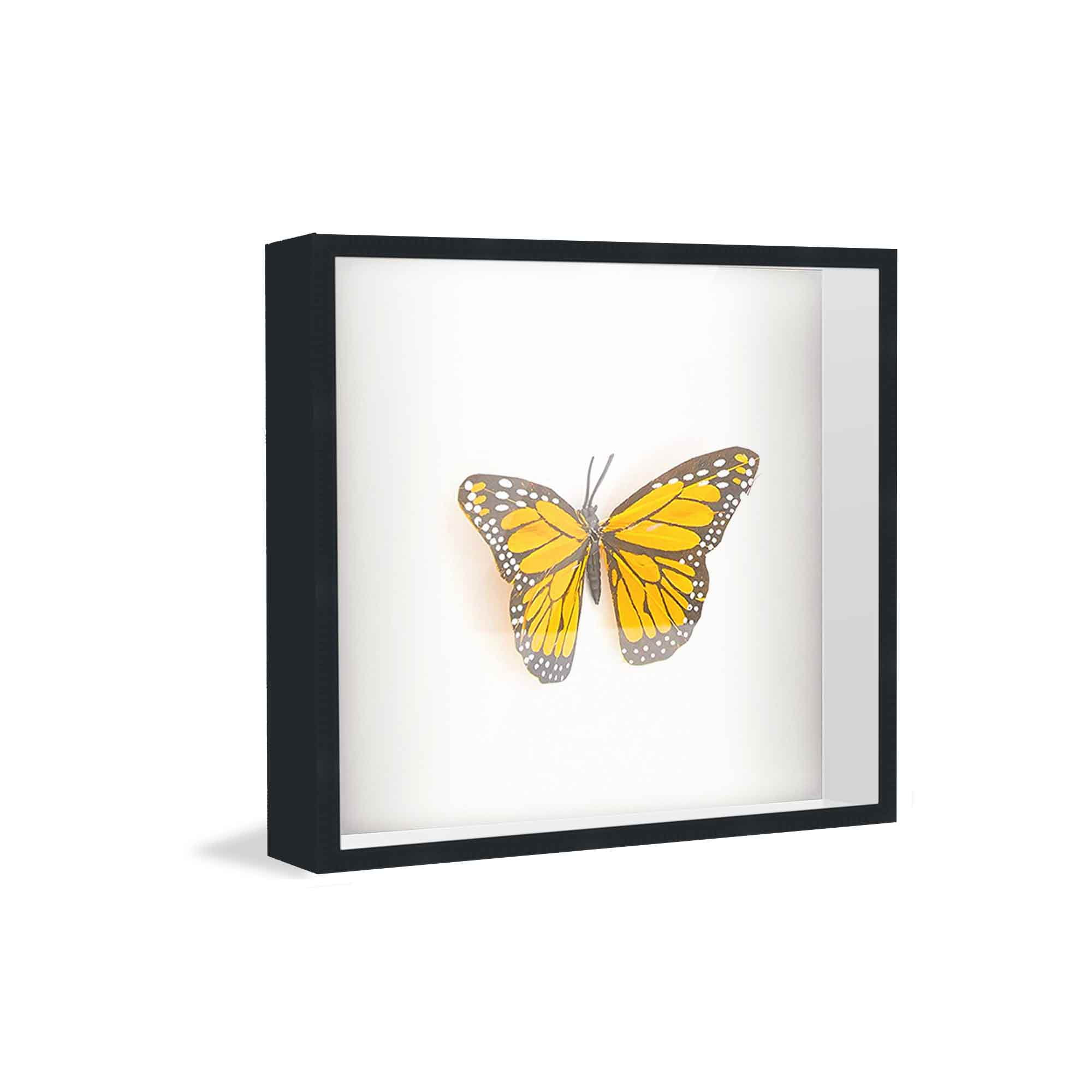 24x24 Shadow Box Frame Black | 1 inches Deep Real Wood Contemporary ...