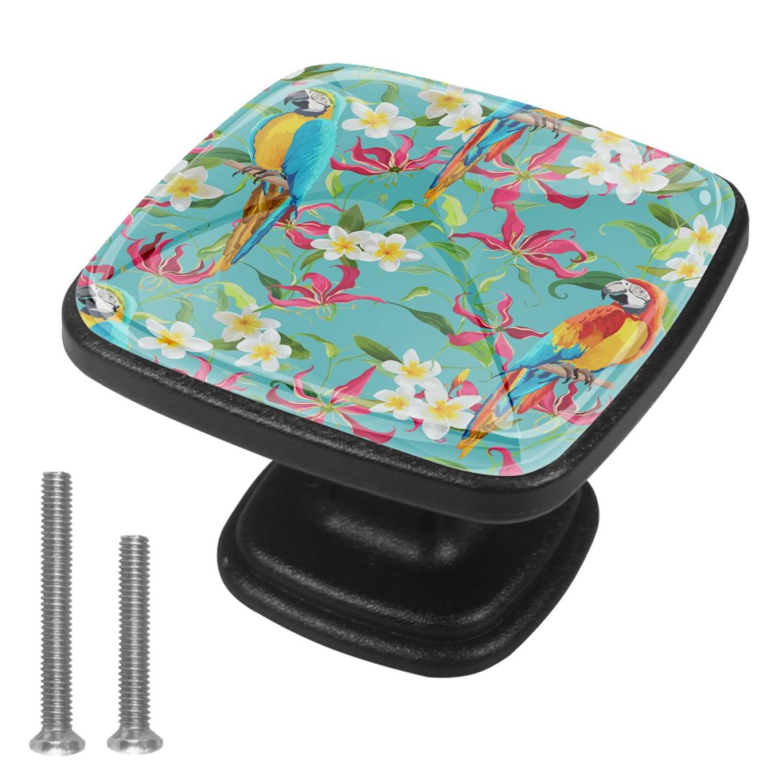 4 Pcs Cabinet Handle Drawer Pulls Parrot Knobs with Screws Square ...