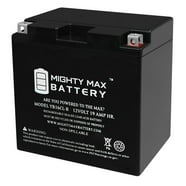 EverStart Platinum AGM Power Sport Battery, Group Size T16L 12 Volt ...