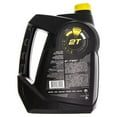 Ski-Doo Synthetic 2-Stroke Engine Oil, E-TEC Injection, 1 Gallon ...