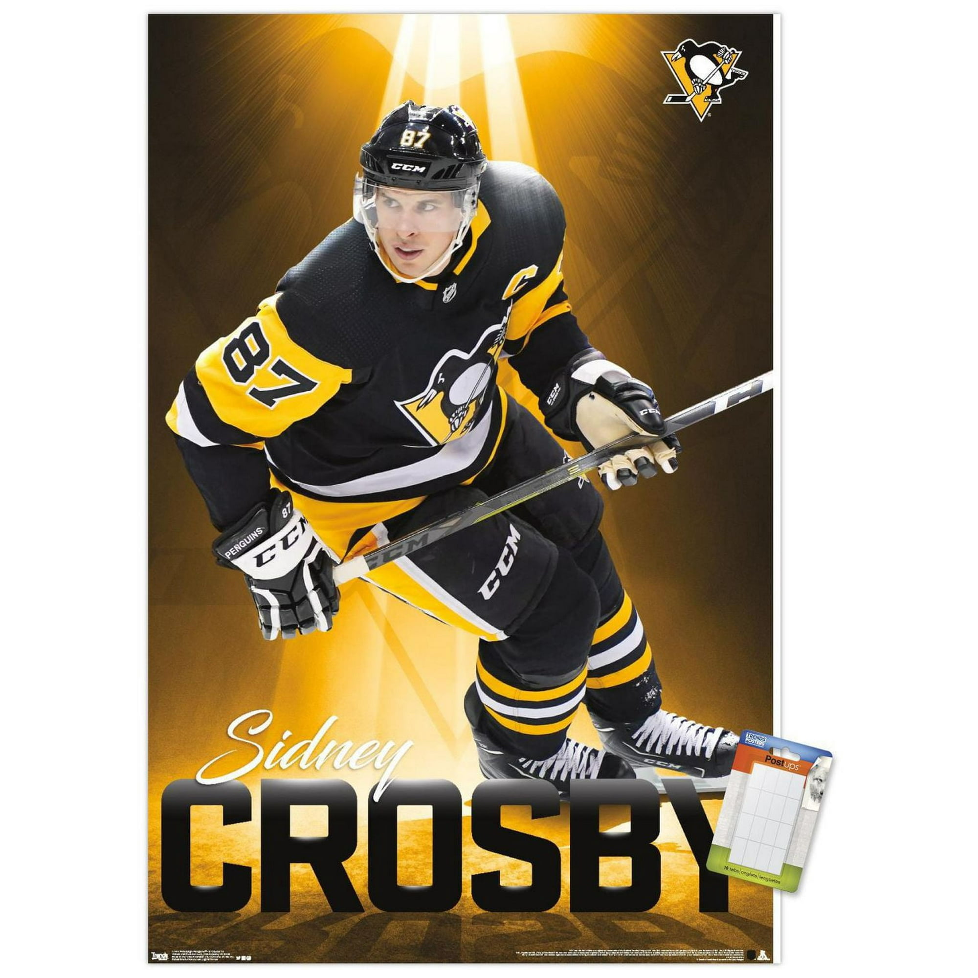 Click here for Trends International Nhl Pittsburgh Penguins - Sid... prices