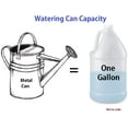 Robert Allen Home & Garden Metal Embossed Watering Can, Topaz, 1 Gallon ...