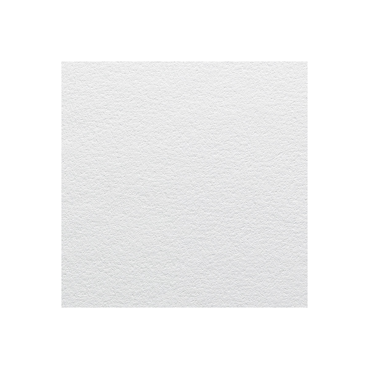 Canson Edition Art Board - 16" x 20", White - Walmart.com