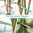 Duslogis 240 Pcs 6 Colors Plastic Plant Tags Wrap Around, Outdoor ...
