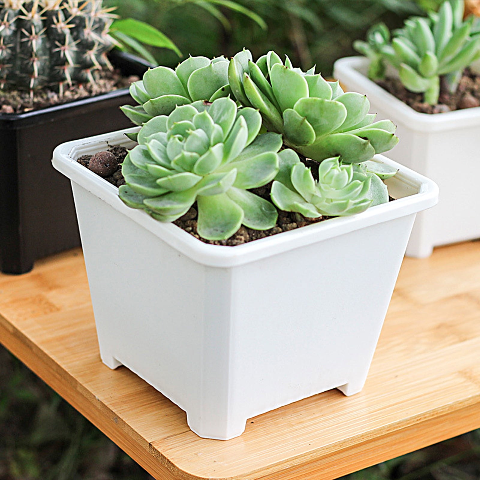 Kripyery Easy Planting Flower Pot Good Weight Capacity Plastic Modern ...