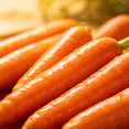 Carrot & Radish seeds for planting-(Non-Artificial)- crisp and ...