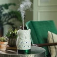 Airome 100 mL Ultrasonic Essential Oil Diffuser, White Porcelain Owl ...