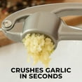 Premium Garlic Press Set - Rust Proof Professional Garlic Mincer Tool ...