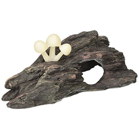 Exo Terra EXO TERRA Cave with Glowing Mushrooms - Natural Hide ...