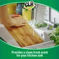 CLR Fresh and Clean Garbage Disposal Cleaner Foaming Pods, 5 Ct, Fresh ...