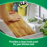 CLR Fresh and Clean Garbage Disposal Cleaner Foaming Pods, 5 Ct, Fresh ...