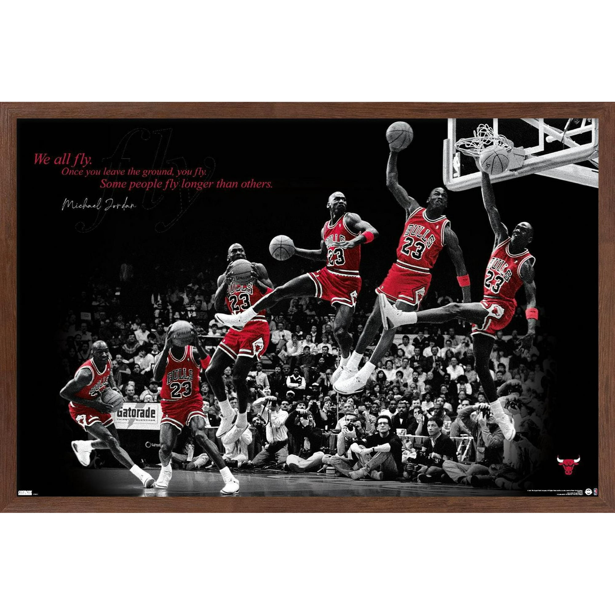 Click here for Trends International Michael Jordan - Fly Wall Pos... prices