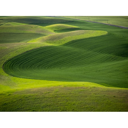 USA, Washington State. Aerial of Palouse Region. Poster Print by Terry ...