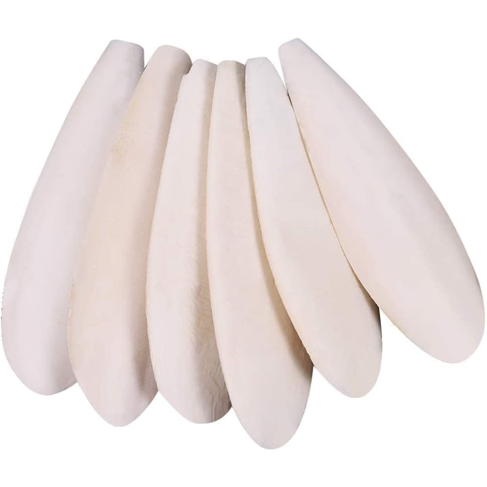 PEACNNG Parrots Chew Toys 6 Pieces Natural Cuttlefish Bone for Parrots ...