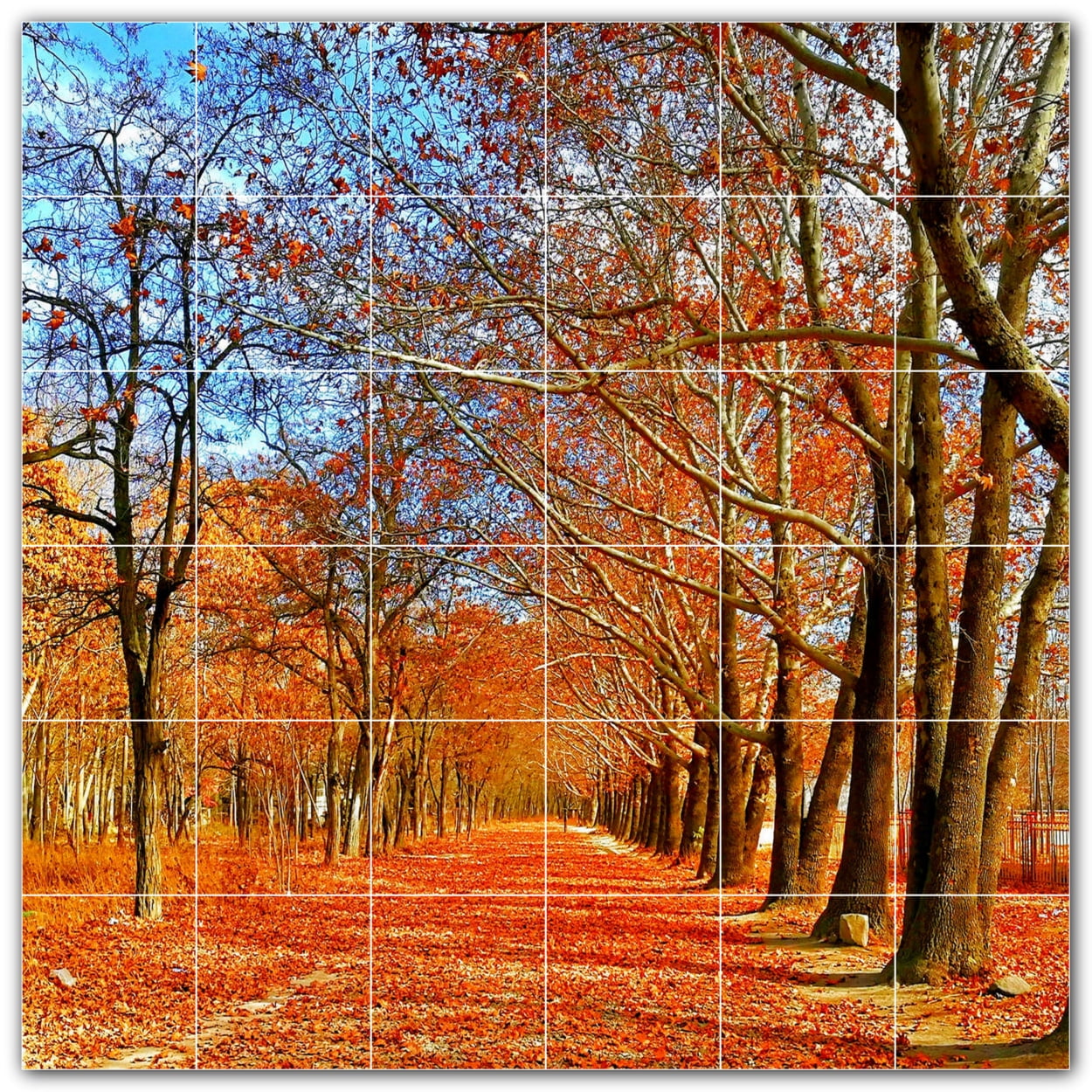 Picture-Tiles.com: Autumn Ceramic Tile Wall Mural WAL500014-66M. 36"W x ...
