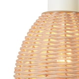 Globe Electric Briar 1-Light Matte White Plug-in or Hardwire Indoor ...