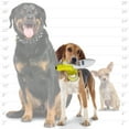 Tuffy Funny Food Banana 2 in 1 Durable Plush Dog Toy - Walmart.com