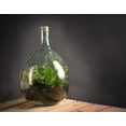 Esschert Design USA AGG48 Glass Terrarium Bottle with Tools, Green ...