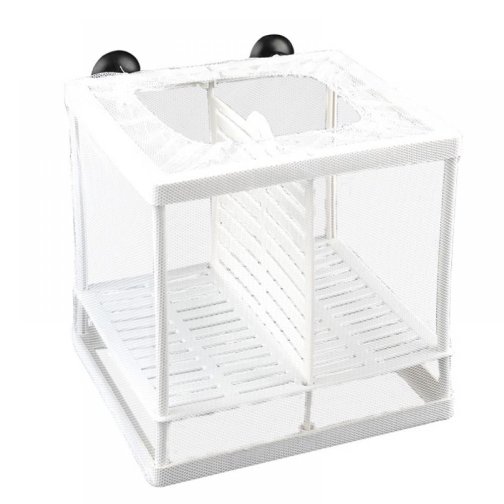 Fish Breeding Box Acrylic Fish Isolation Box With Suction Cups Aquarium ...