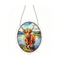 7.4 Inch Double-Sided Printed Acrylic Suncatcher Puzzle DIY Irregular ...