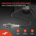 A-Premium O2 Oxygen Sensor Compatible with Infiniti QX60 Nissan Altima ...