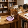 Dog Lick Bowl Slow Feeder with Strong Suction Base, Silicone Lick Mat ...