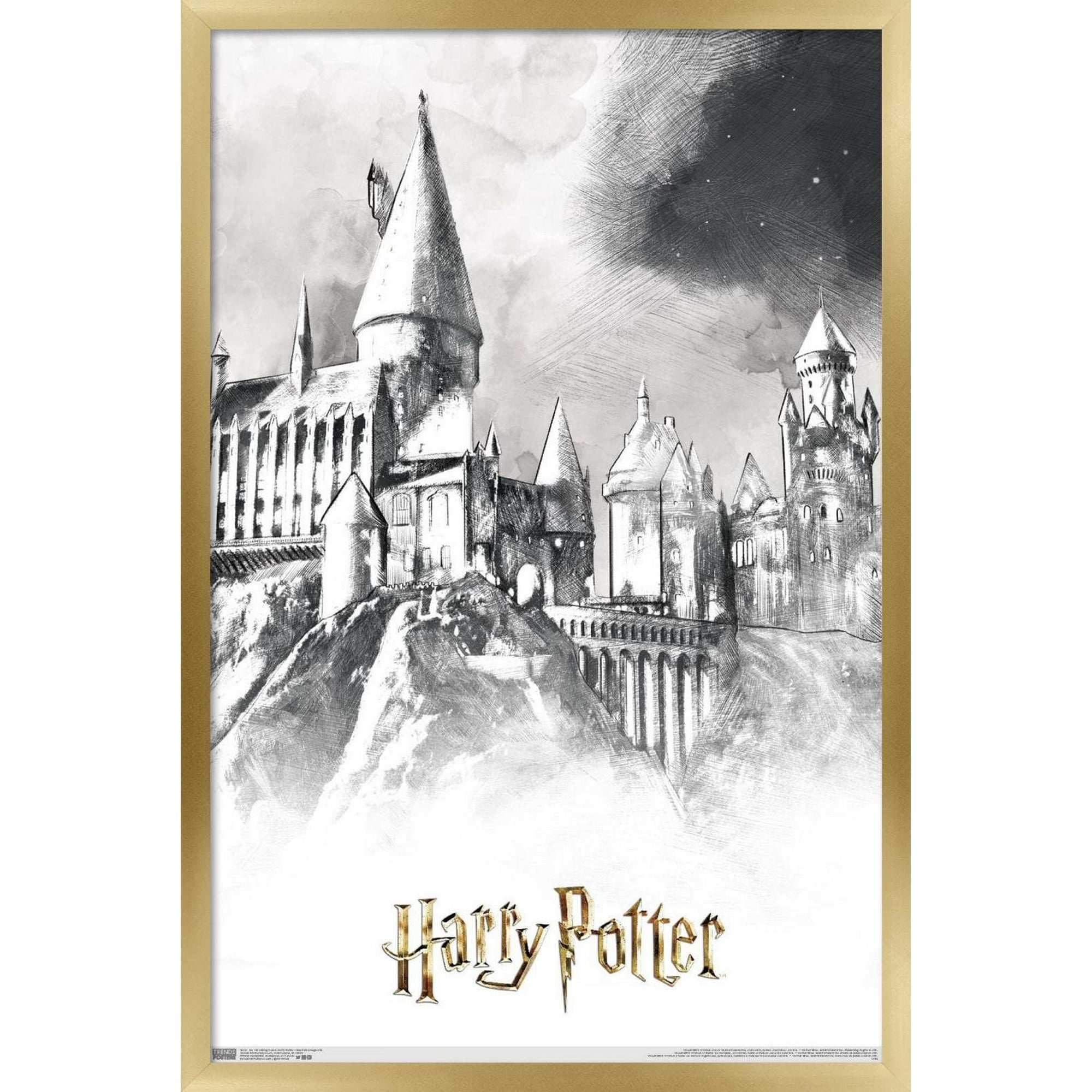 Click here for Trends International The Wizarding World: Harry Po... prices