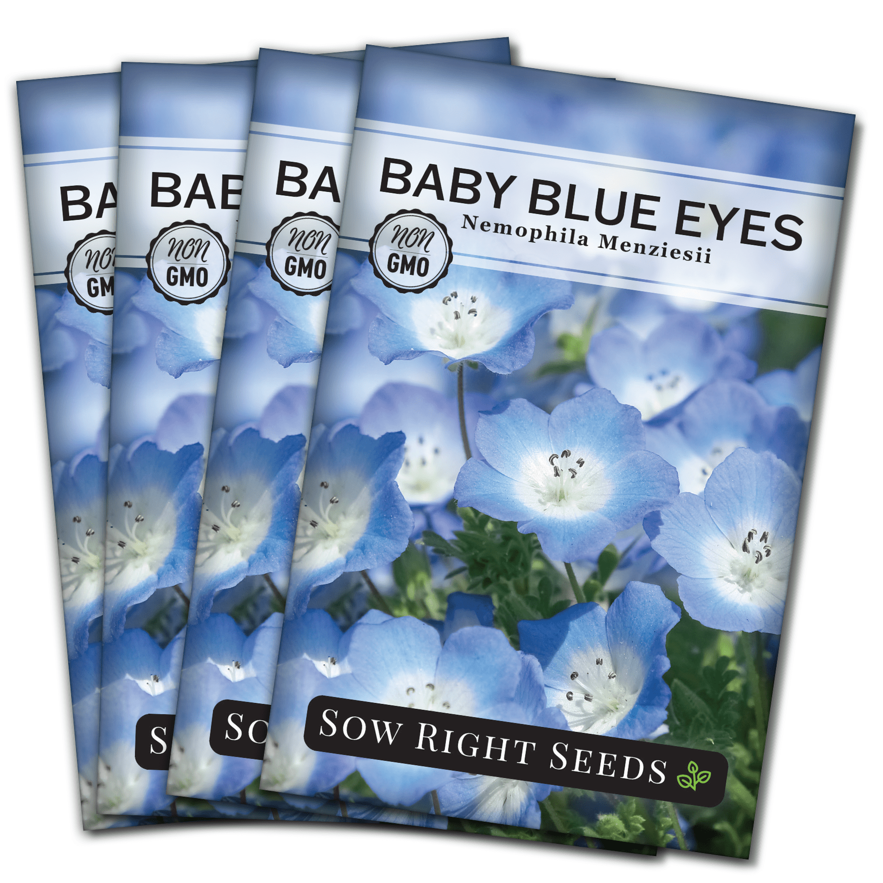 Baby Blue Eyes Seeds - Non GMO Heirloom Varieties for your Flower ...