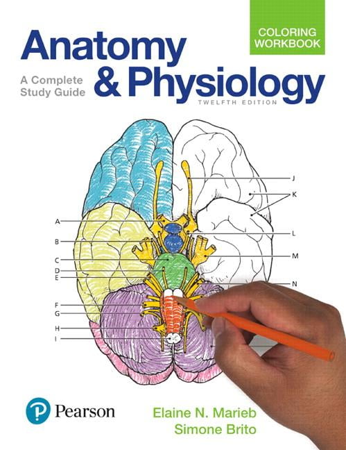 Free Printable Anatomy And Physiology
