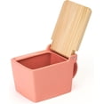 Zero Japan Bee House Premium Salt Box with Hinoki Lid - Container for ...
