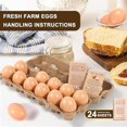 Bulk Empty Egg Cartons for Storage, Natural Paper Pulp Reusable ...