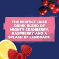Ocean Spray® Cran-Raspberry Lemonade™ Cranberry Raspberry Lemonade ...