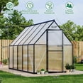 Large 6x9 Ft Walk-in Greenhouse, Aluminum Frame & Polycarbonate Panels ...