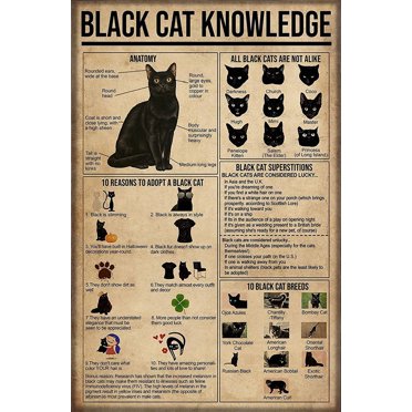 Science is Magic?That's?Real?Witch Vintage Metal Tin Sign Witchcraft ...