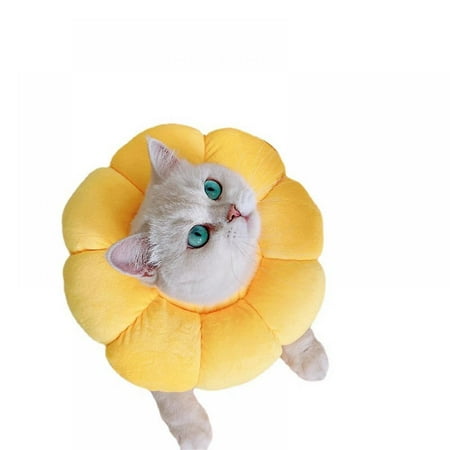 Cat Small Dog Recovery Collar, Cute Neck Cone After Surgery, Adjustable ...