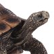 MOJO - Realistic International Wildlife Figurine, Giant Turtle ...
