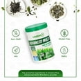 Greens Plus Advanced Multi Raw Super Greens Superfood Powder - Plant ...
